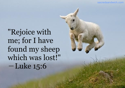 find your lost sheep | Acts29.org